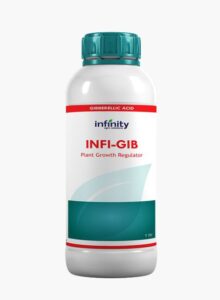 Infinity Agro Solutions - Leading group in Agro Industry